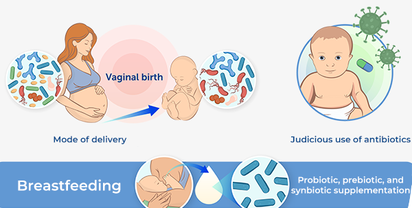 An Overview of Early-Life Gut Microbiota Modulation Strategies